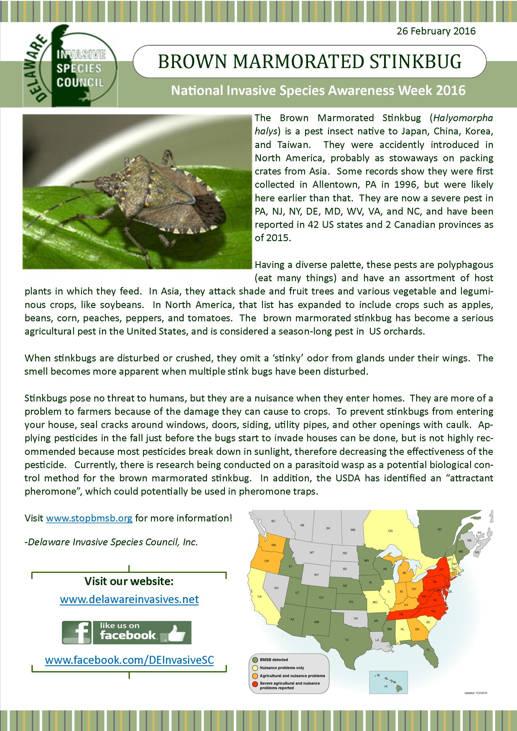 NISAW 2016: Brown Marmorated Stinkbug – Delaware Invasive Species Council