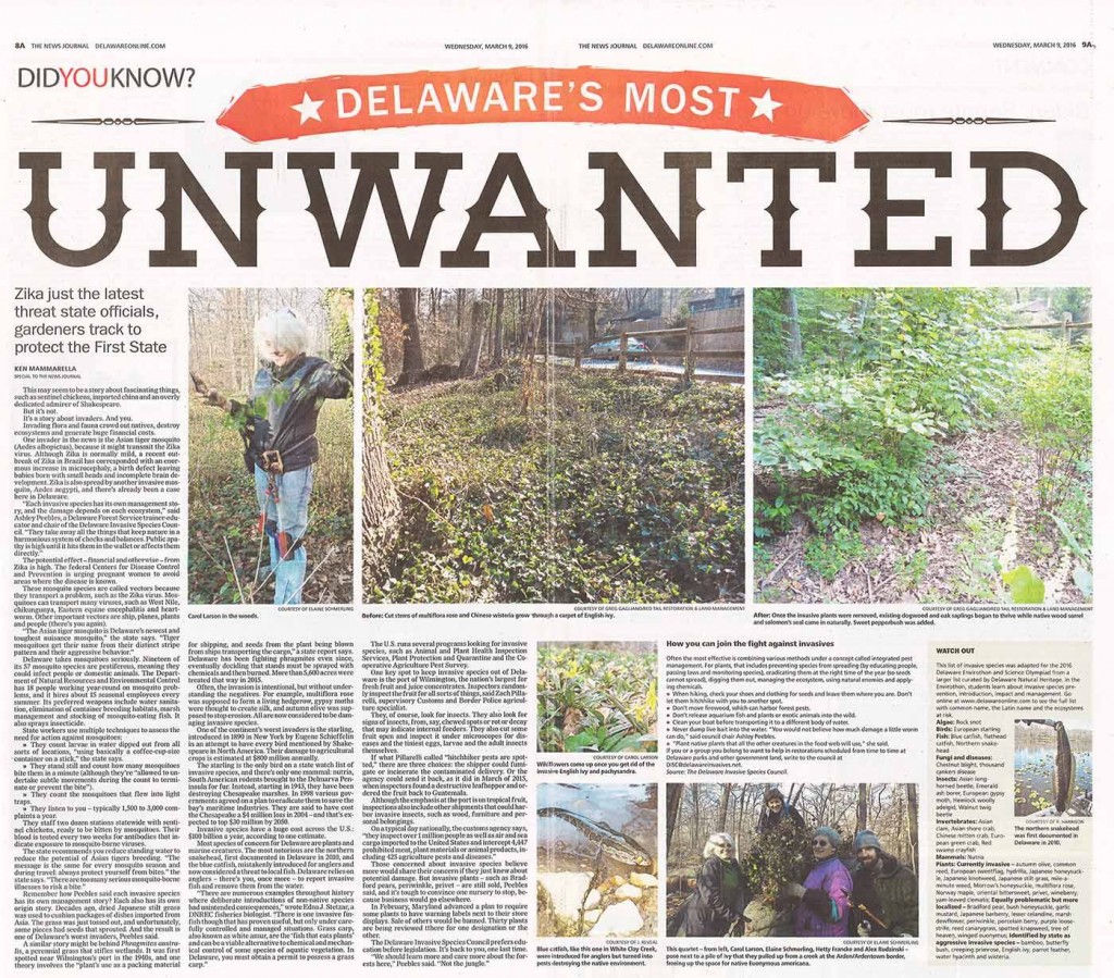 Delaware’s Most UNWANTED – Delaware Invasive Species Council